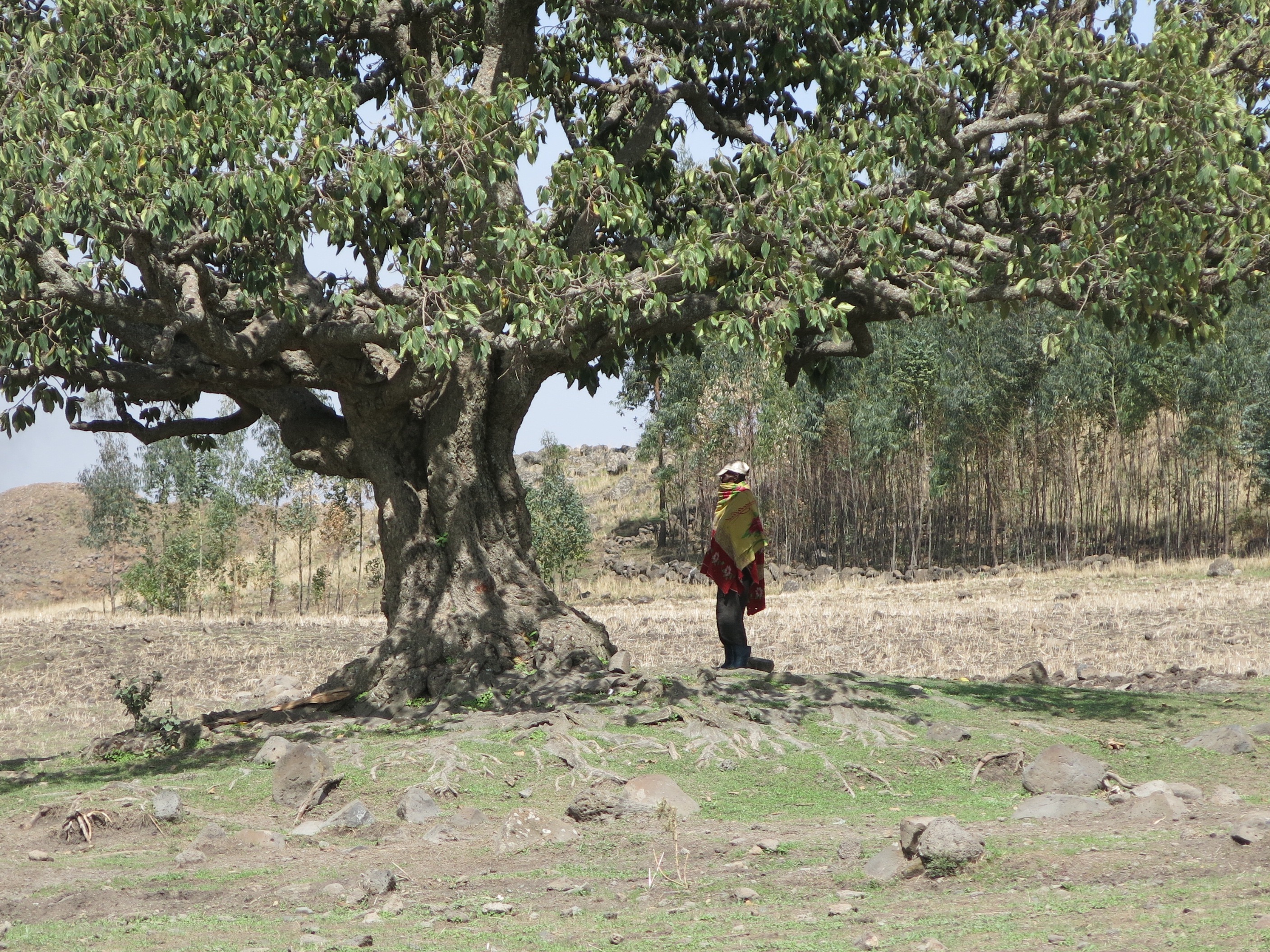 Mission Ethiopia...The Oromo Tribe - Indestructible Daughters