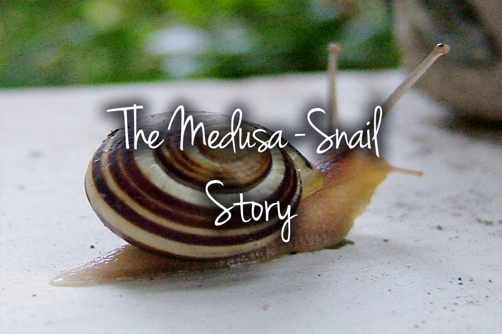 The Medusa-Snail Story - Indestructible Daughters